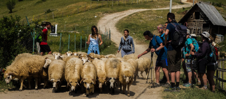 Babino Polje: Gateway to Montenegro's Natural Wonders
